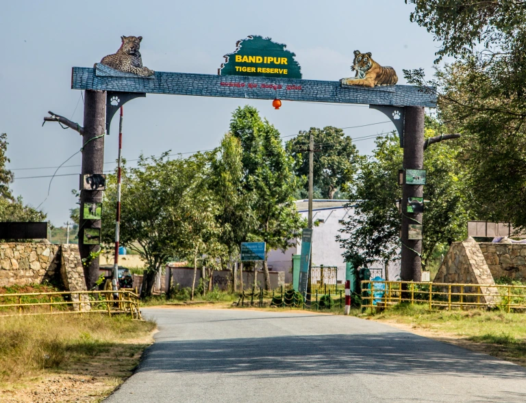 Top 10 Best National Parks In India 2026 | Nubia Magazine